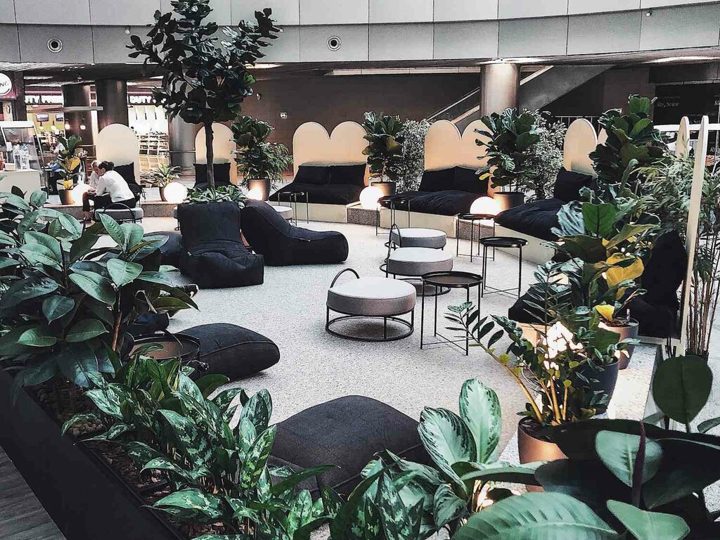 Koltuk takımı mağazaları Ambient Lounge, Krasnogorsk, foto