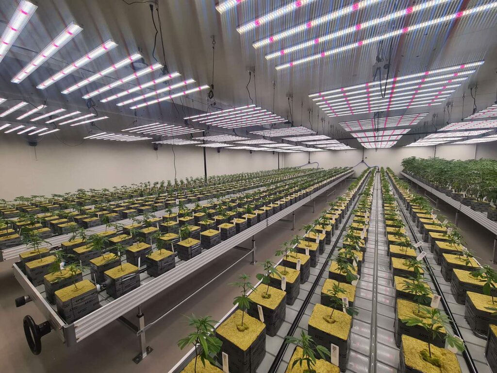 Tarım makineleri, ekipmanlar Perspektivnye Agro Tekhnologii, Nijegorodskaya oblastı, foto