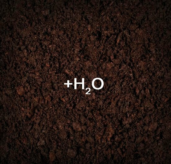 Gübre firmaları Biotorf, Saratovskaya oblastı, foto