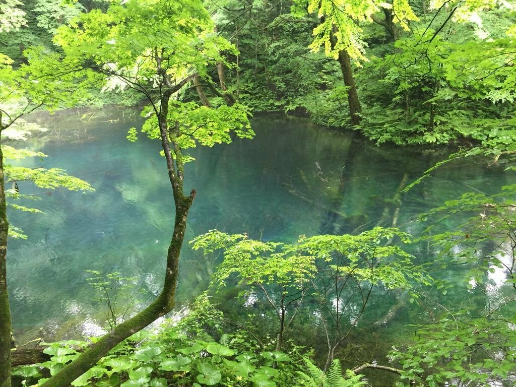 Otel Richmond Hotel Aomori, Aomori, foto