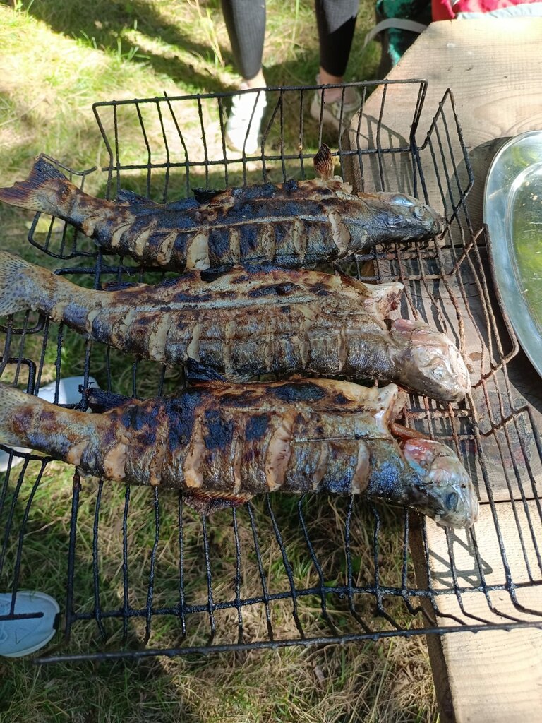 Tarım firmaları Форелевое хозяйство, Karaçay‑Çerkez Cumhuriyeti, foto