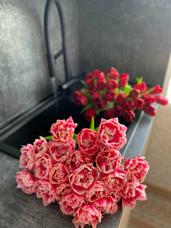 Çiçekçiler Цветы, Ilanskiy, foto