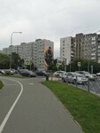 Улица Гайдара (Kaliningrad, Generala Chelnokova Street), toplu taşıma durağı  Kaliningrad'dan