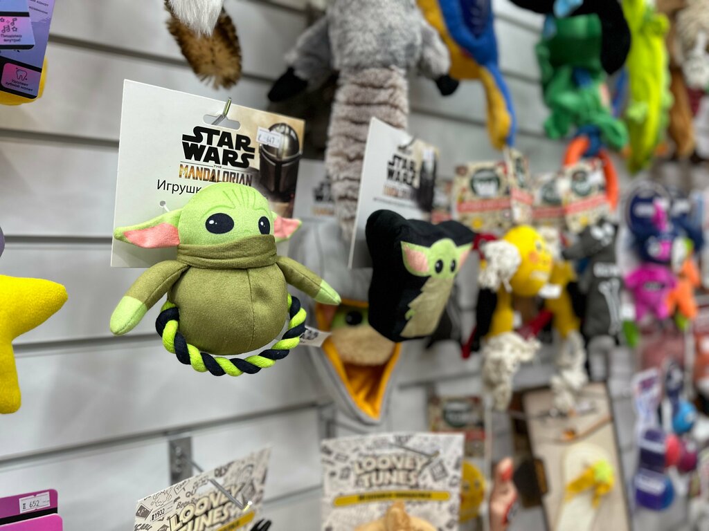 Petshop Rhvost, Moskova ve Moskovskaya oblastı, foto