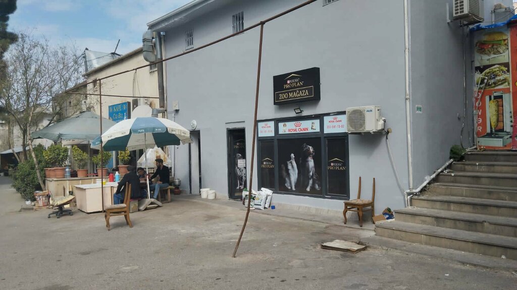 Petshop Zoo Mağaza, Bakü, foto