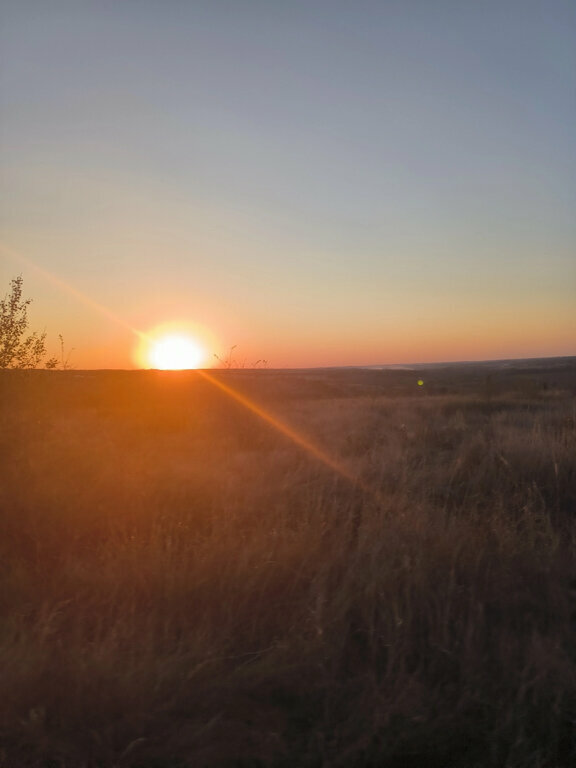 At ve binicilik kulüpleri Radiant-prince, Rostovskaya oblastı, foto