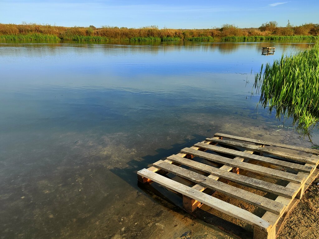 Plaj Татаркинский пляж, Riazanskaya oblastı, foto
