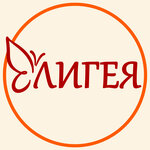 Ligeya (Tambovskaya Street No:63), spor kulüpleri  Saint‑Petersburg'dan