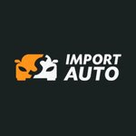 Import Auto Grup (municipiul Chișinău), otomobil satış galerileri  Kişinev'den