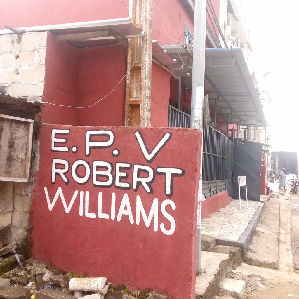 i̇lkokul Robert Williams School Group, Abican, foto