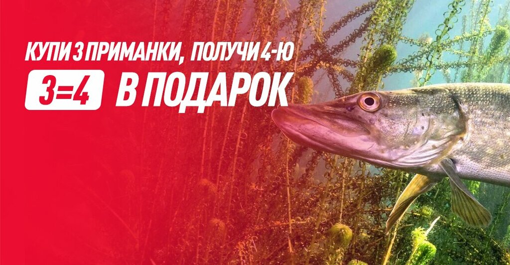 Balıkçılık ekipman firmaları Chayka, Cheboksary, foto