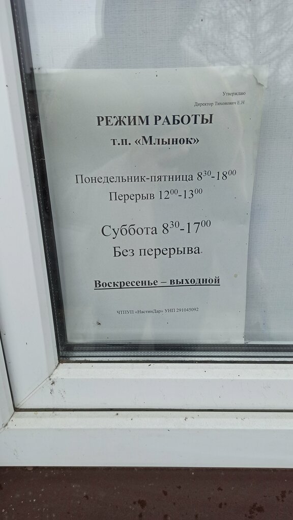 Evcil hayvanlar için ürünler Млынок, Gancevichi, foto