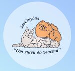От ушей ДО хвоста (Kirova Street No:23В), evcil hayvan kuaförleri  Tula'dan