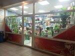 Цветы (Gudkova Street No:13), çiçekçiler  Jukovski'den