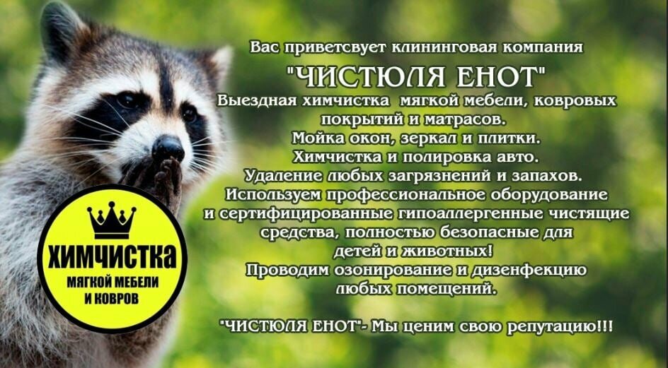 Temizlik şirketleri A clean raccoon, Ugliç, foto