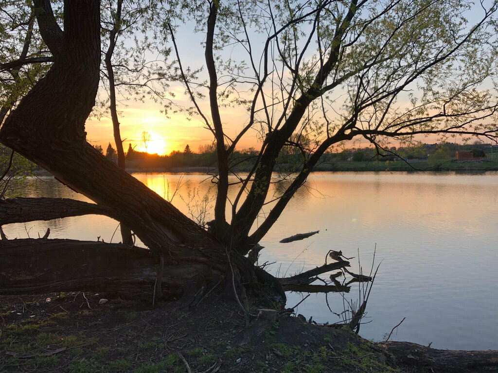Plaj Пляж, Saratovskaya oblastı, foto