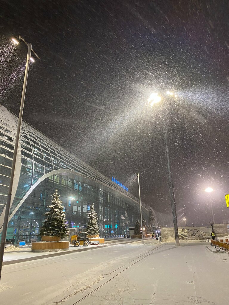 Posta gönderim hizmetleri Otdeleniye Perevozki Pochty pri Aeroporte Domodedovo, Moskova ve Moskovskaya oblastı, foto