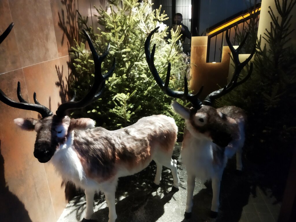 Etkinlik organizasyonu Карамельная фабрика Деда Мороза, Izhevsk, foto