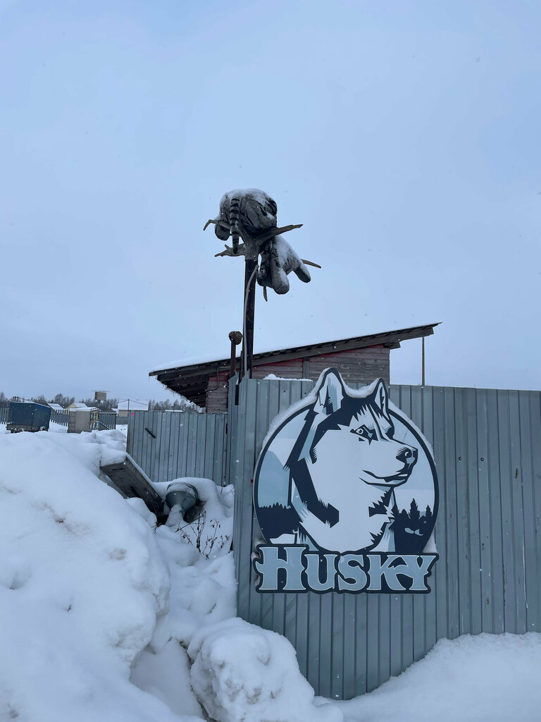 Hayvanat bahçesi merkezi Хаски-парк Вольный ветер, Vologodskaya oblastı, foto