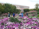 Mkou Krasnojarskaja Sosh (Sovetskaya ulitsa No:34, selo Krasnoyarka), ortaokul  Omskaya oblastından