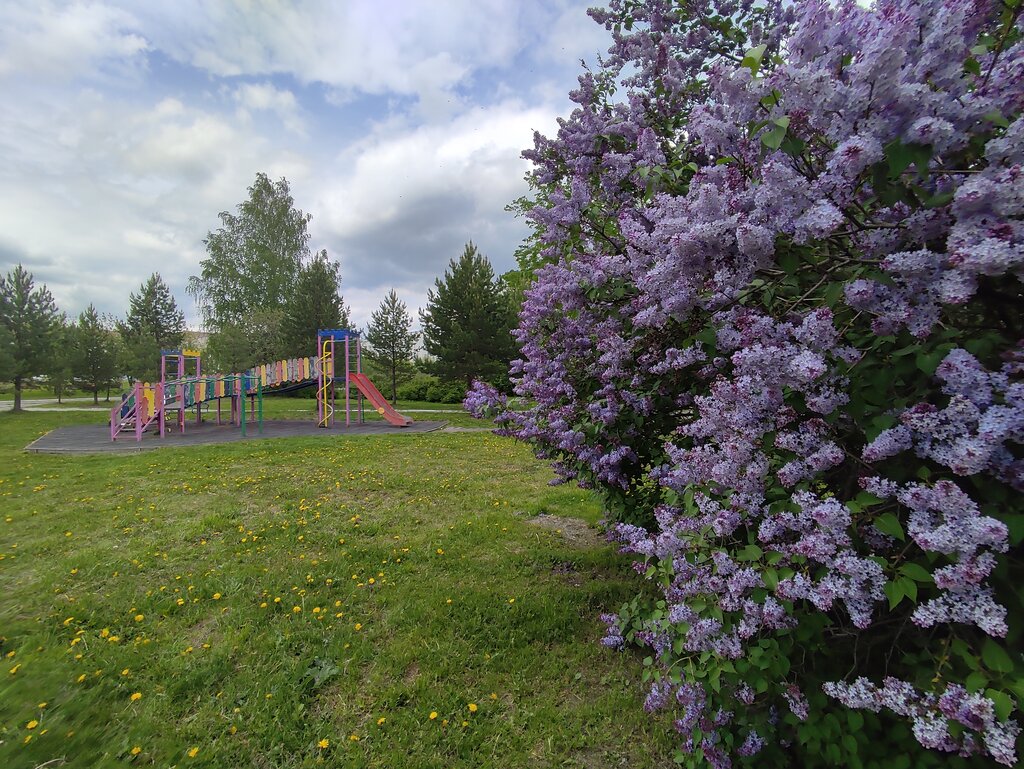 Oyun alanı Playground, Kuşva, foto