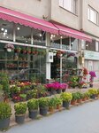 Aden Çiçek Evi (Kirişhane Cad., No:50A, Serdivan, Sakarya), çiçekçiler  Serdivan'dan