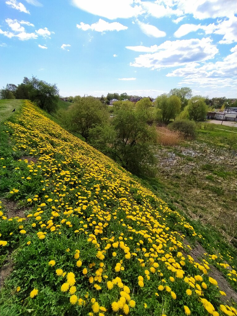 Turistik yerler Fortress Earthen Rampart of the Okolny Town, Velikiy Novgorod, foto