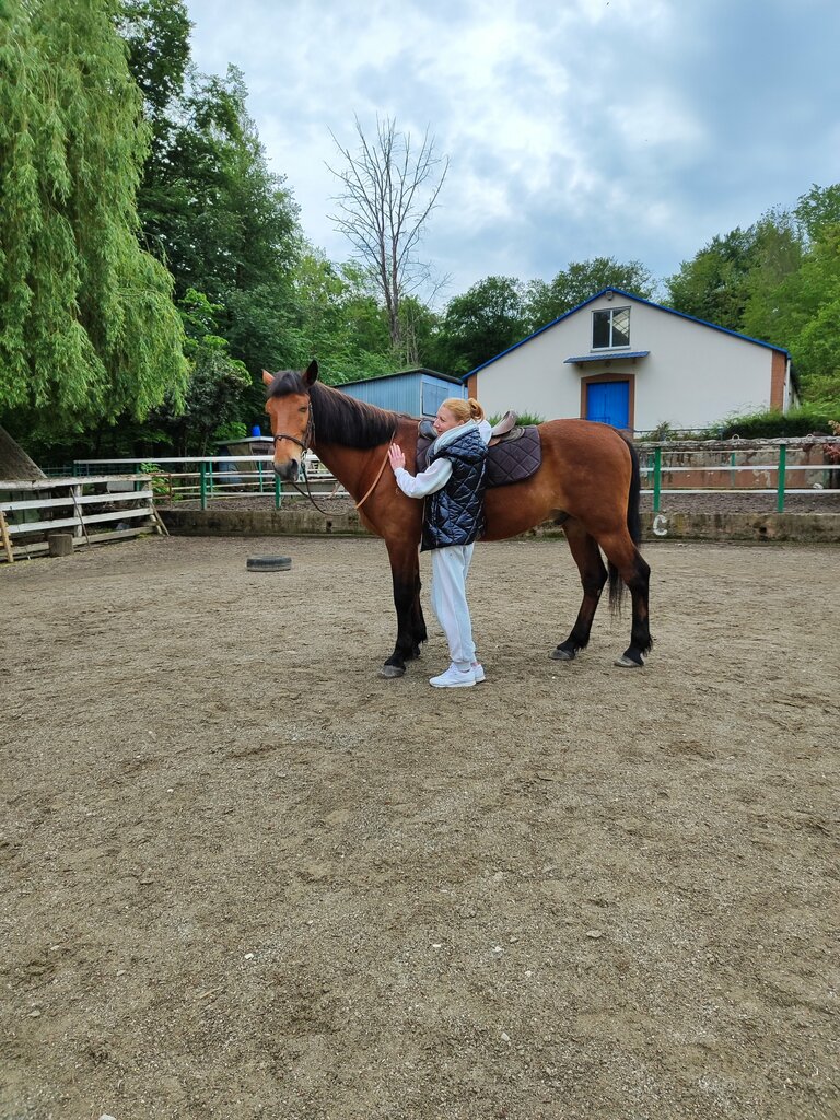 At ve binicilik kulüpleri Gusar, Soçi, foto