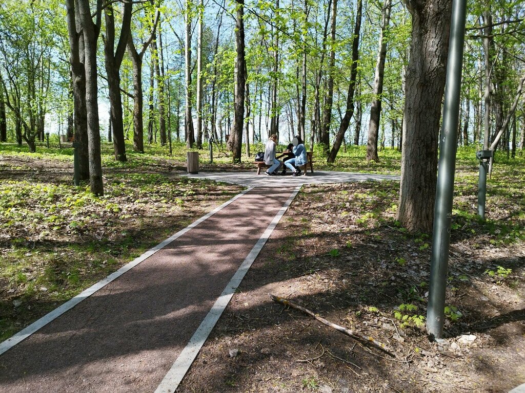 Piknik alanı Place for picnic, Nijni Novgorod, foto