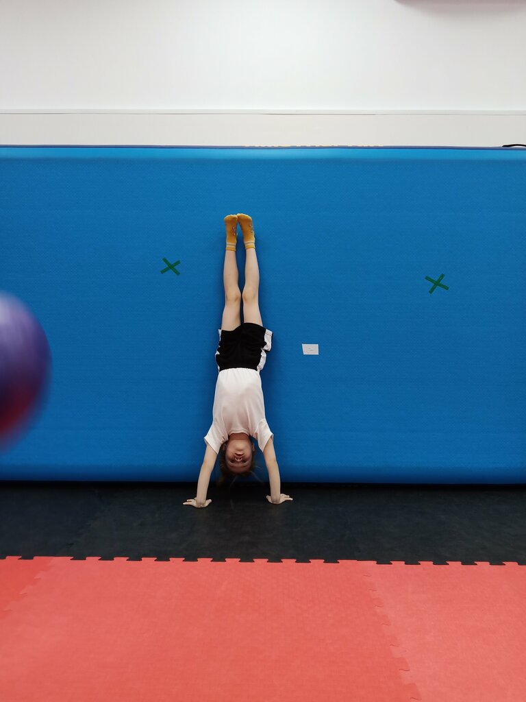 Spor kulüpleri Акробатика ABC, Gelencik, foto