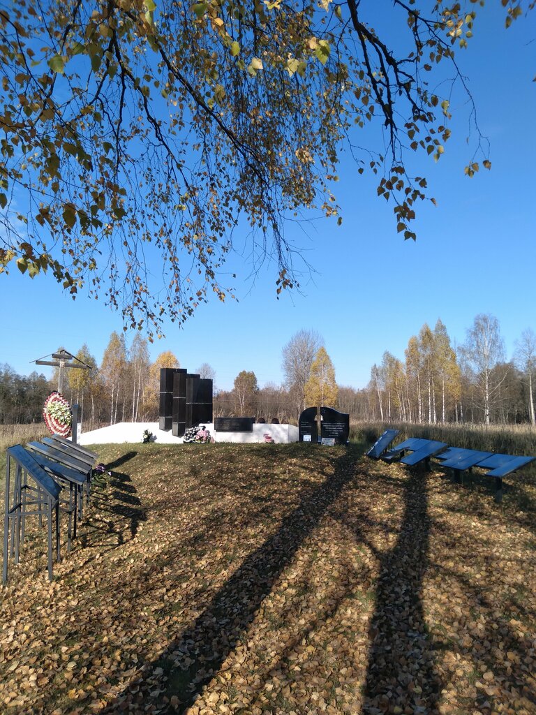 Anıt, heykel Памятный знак д. Чёрный ручей, Tverskaya oblastı, foto