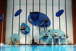 Dubai Diving Club (2/1, Emirates Road, Dubai), dalış kulüpleri ve eğitim merkezleri