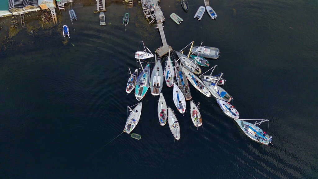 i̇skele Причал, Murmanskaya oblastı, foto