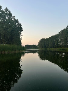 Gazebo (Tambov Region, Michurinskiy munitsipalny okrug, Izosimovskiy selsovet), çardak  Tambovskaya oblastından