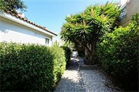 Daireler Julipapas Gardens, Baf İlçesi, foto