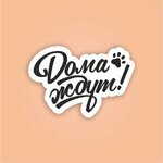 Doma zhdut! (ulitsa Petra Masherova No:2), petshop  Kobrin'den