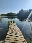 Jetty  (Tver Region, Kimrskiy District, Tsentralnoye selskoye poseleniye), i̇skele  Tverskaya oblastından