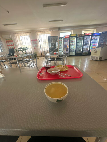 Kafe Tersa, Saratovskaya oblastı, foto