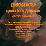 Дикая роза (Priozerskoye Highway No:124/А, derevnya Vartemyagi), çiçekçiler  Saint‑Petersburg ve Leningradskaya oblastından