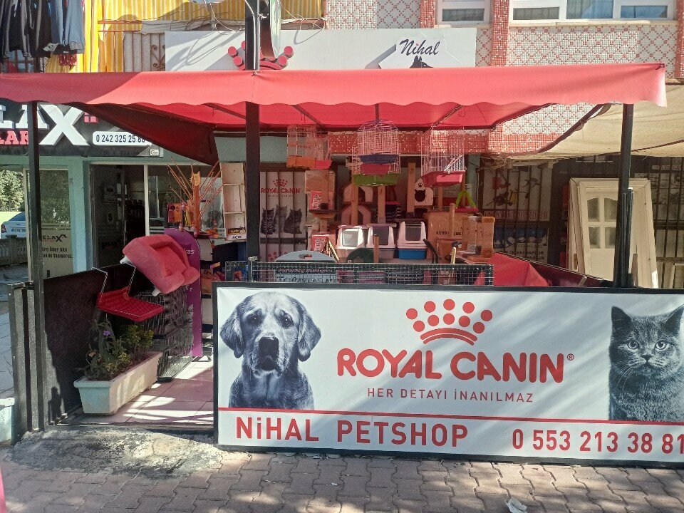 Petshop Nihal Pet Shop, Antalya, foto