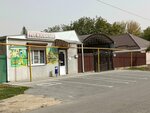 Рог изобилия (Krasnaya ulitsa No:205А, selo Staromaryevka), market  Stavropolski krayından