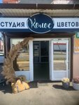 Колос (Krasnaya Street No:54, Novovelichkovskaya stanitsa), çiçekçiler  Krasnodarski krayından