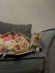 13 Flowers (Rizhskaya Square No:9Ас2), çiçekçiler  Moskova'dan