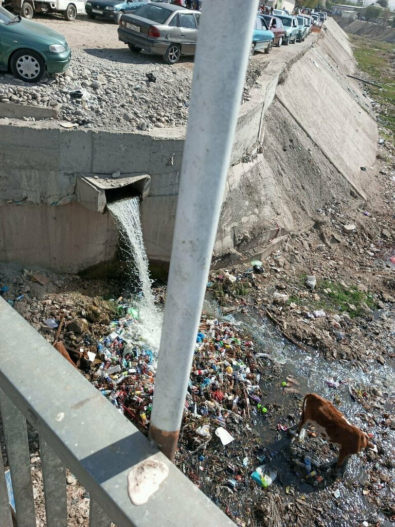 Plaj Пляж, Brianskaya oblastı, foto