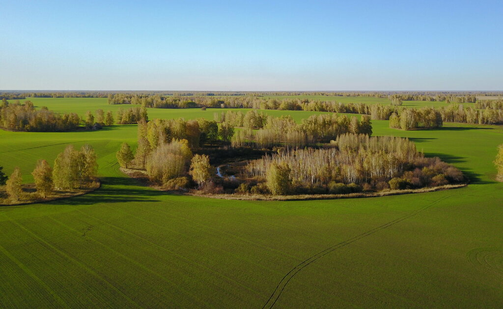 Doğa koruma alanı памятник природы регионального значения Озеро Клюквенное, Altayski krayı, foto