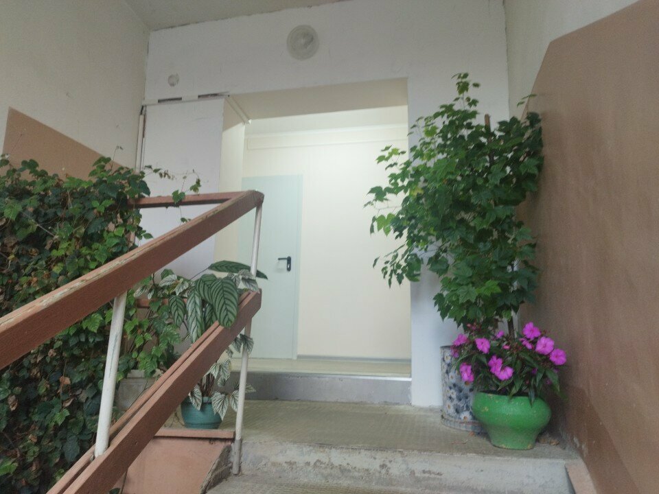 Ticari gayrimenkul alım satımı Korma, Çehov, foto