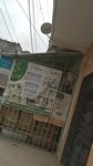 Sca (Abidjan, Commune of Abobo, Quartier de la Anador), etkinlik organizasyonu  Abican'dan