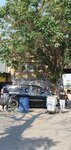 M and A bsest quality salaula (Lusaka, Chilanga, Namalombwe, Los Angeles Road, 8611), fast food  Zambiya'dan