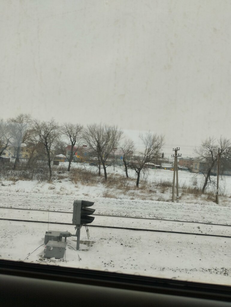 Stadyum Юбилейный, Altayski krayı, foto