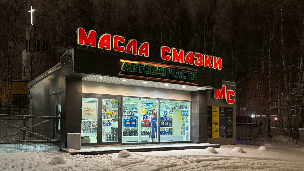 Otomobil yedek parçaları Масла Смазки, Petrozavodsk, foto